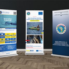 Conceptions des Kakemonos