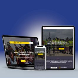 Site ONG Idyano